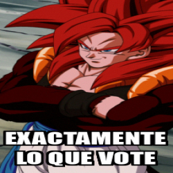 Meme Personalizado - exactamente lo que vote - 33454237
