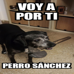 Meme Personalizado - Voy a por ti Perro Sánchez - 33455295