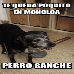 Meme Personalizado - Te queda poquito en moncloa Perro Sanche - 33455300
