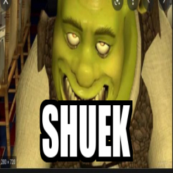Meme Personalizado - SHUEK - 33456137