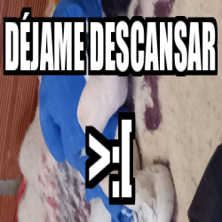 Meme Personalizado - Déjame descansar >:[ - 33459910