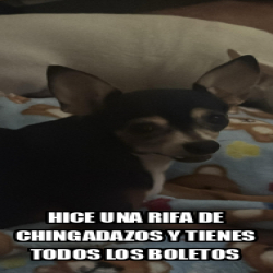 Meme Personalizado - Hice una rifa de chingadazos y tienes todos los ...
