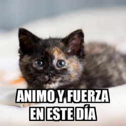Meme Personalizado - Animo y fuerza en este día - 33460679