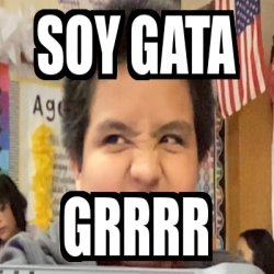 Meme Personalizado - Soy gata Grrrr - 33460897
