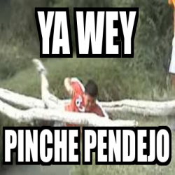 Meme Personalizado - Ya wey pinche pendejo - 33463201