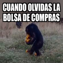 Meme Personalizado - Cuando olvidas la bolsa de compras - 33464755