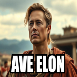 Meme Personalizado - Ave elon - 33465414