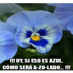Meme Personalizado - !!! Uy, si eso es azul, cómo será a-zu-lado ...