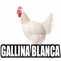 Meme Personalizado - gallina blanca - 33472637