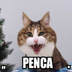 Meme Personalizado - ,, Penca . - 33477808