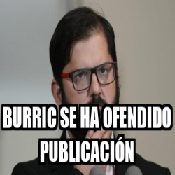 Meme Personalizado - Burric se ha ofendido publicación - 33479273