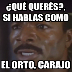 Meme Personalizado - ¿QUÉ QUERÉS?, SI HABLAS COMO EL ORTO, CARAJO ...