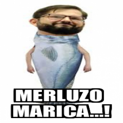 Meme Personalizado - MERLUZO MARICA...! - 33480194
