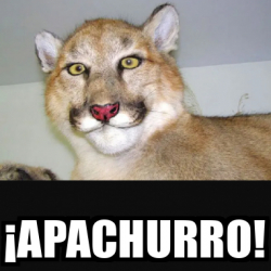 Meme Personalizado - ¡Apachurro! - 33481108