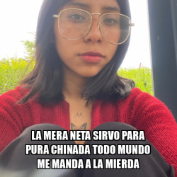 Meme Personalizado - La mera neta sirvo para pura chinada todo mundo me ...
