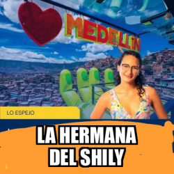 Meme Personalizado - La hermana del Shily - 33483085
