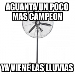 Meme Personalizado - AGUANTA UN POCO MAS CAMPEON YA VIENE LAS LLUVIAS ...
