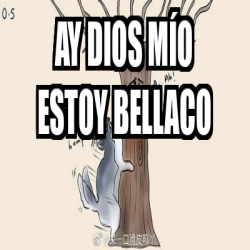 Meme Personalizado - ay DIOS MÍO ESTOY BELLACO - 33485121