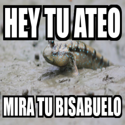 Meme Personalizado - HEY TU ATEO MIRA TU BISABUELO - 33486021