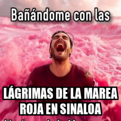 Meme Personalizado - Lágrimas de la marea roja en sinaloa - 33487031