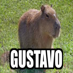 Meme Personalizado - gustavo - 33488021