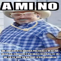 Meme Personalizado - A mi no Me importa si ahora prefieres visitar ...
