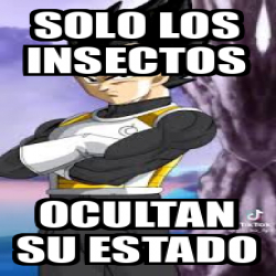 Meme Personalizado - Solo los insectos ocultan su estado - 33490165