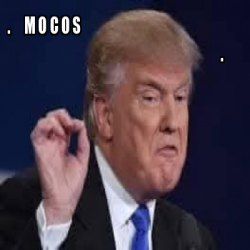Meme Personalizado - . M O C O S . - 33490863