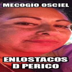 Meme Personalizado - MECOGIO OSCIEL ENLOSTACOS D PERICO - 33491123