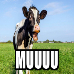 Meme Personalizado - muuuu - 33491385