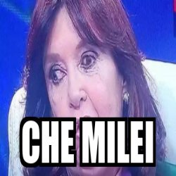 Meme Personalizado - CHE MILEI - 33491881
