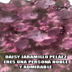 Meme Personalizado - Daisy Jaramillo Peláez eres una persona noble y ...