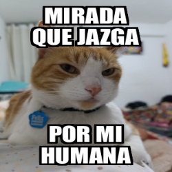Meme Personalizado - MIRADA QUE JAZGA POR MI HUMANA - 33492869
