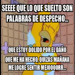 Meme Personalizado - Seeee que lo que suelto son palabras de despecho ...