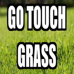 Meme Personalizado - Go touch Grass - 33497963