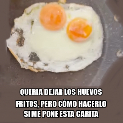 Meme Personalizado - queria dejar los huevos fritos, pero cómo hacerlo ...
