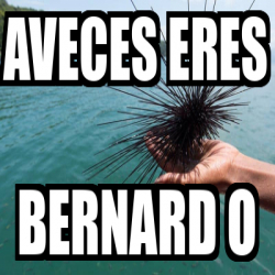 Meme Personalizado - Aveces eres Bernard o - 33054031