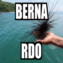 Meme Personalizado - Berna Rdo - 33054033