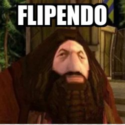 Meme Personalizado - FLIPENDO - 33054734