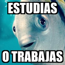 Meme Personalizado - ESTUDIAS O TRABAJAS - 33056216