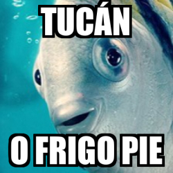 Meme Personalizado - TUCÁN O FRIGO PIE - 33056224