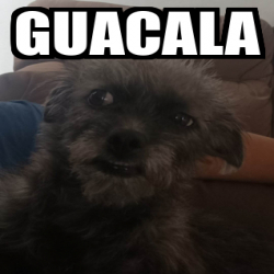 Meme Personalizado - Guacala - 33058512