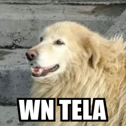 Meme Personalizado - wn tela - 33059325