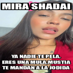Meme Personalizado - Mira shadai Ya nadie te pela, eres una mula,mustia ...