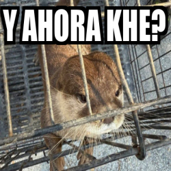 Meme Personalizado - Y ahora khe? - 33501422