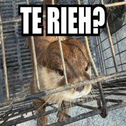 Meme Personalizado - Te rieh? - 33501423