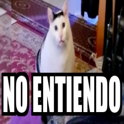Meme Personalizado - no entiendo - 33502386