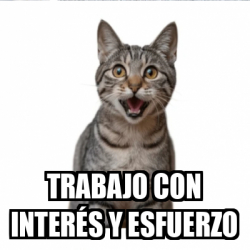 Meme Personalizado - trabajo con interés y esfuerzo - 33502897