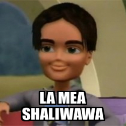 Meme Personalizado - La mea shaliwawa - 33503402