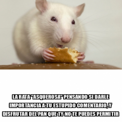 Meme Personalizado - la rata "asquerosa" pensando si darle importancia ...